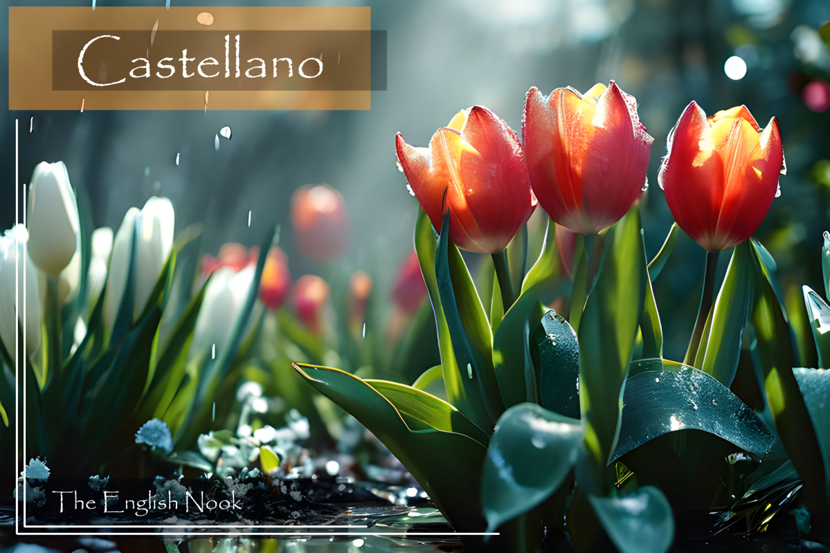 Más y Menos: The Fascinating World of Comparatives in Spanish – The ...