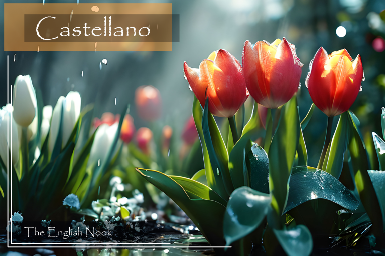 Más y Menos: The Fascinating World of Comparatives in Spanish – The ...