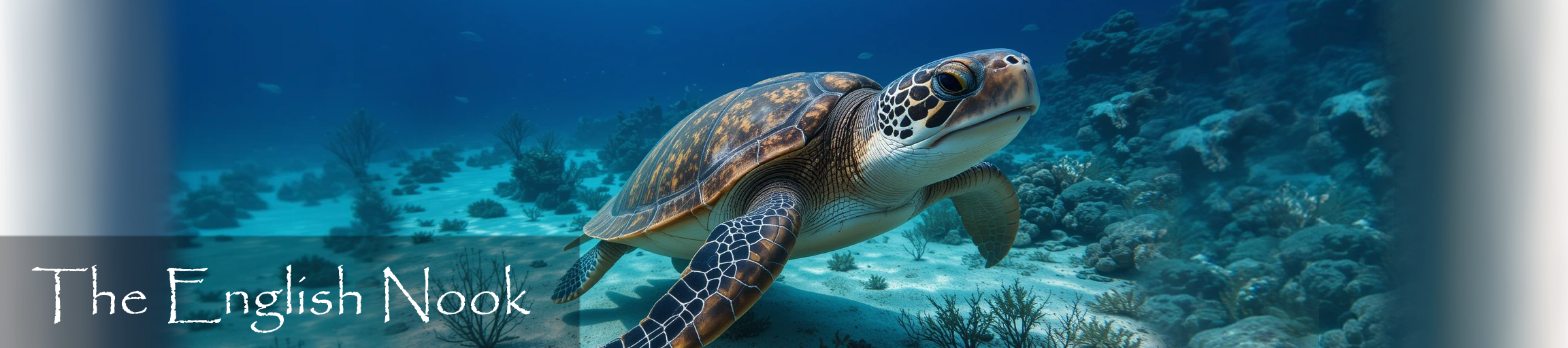 Animales Marinos: Vocabulario del Océano en Inglés – The English Nook